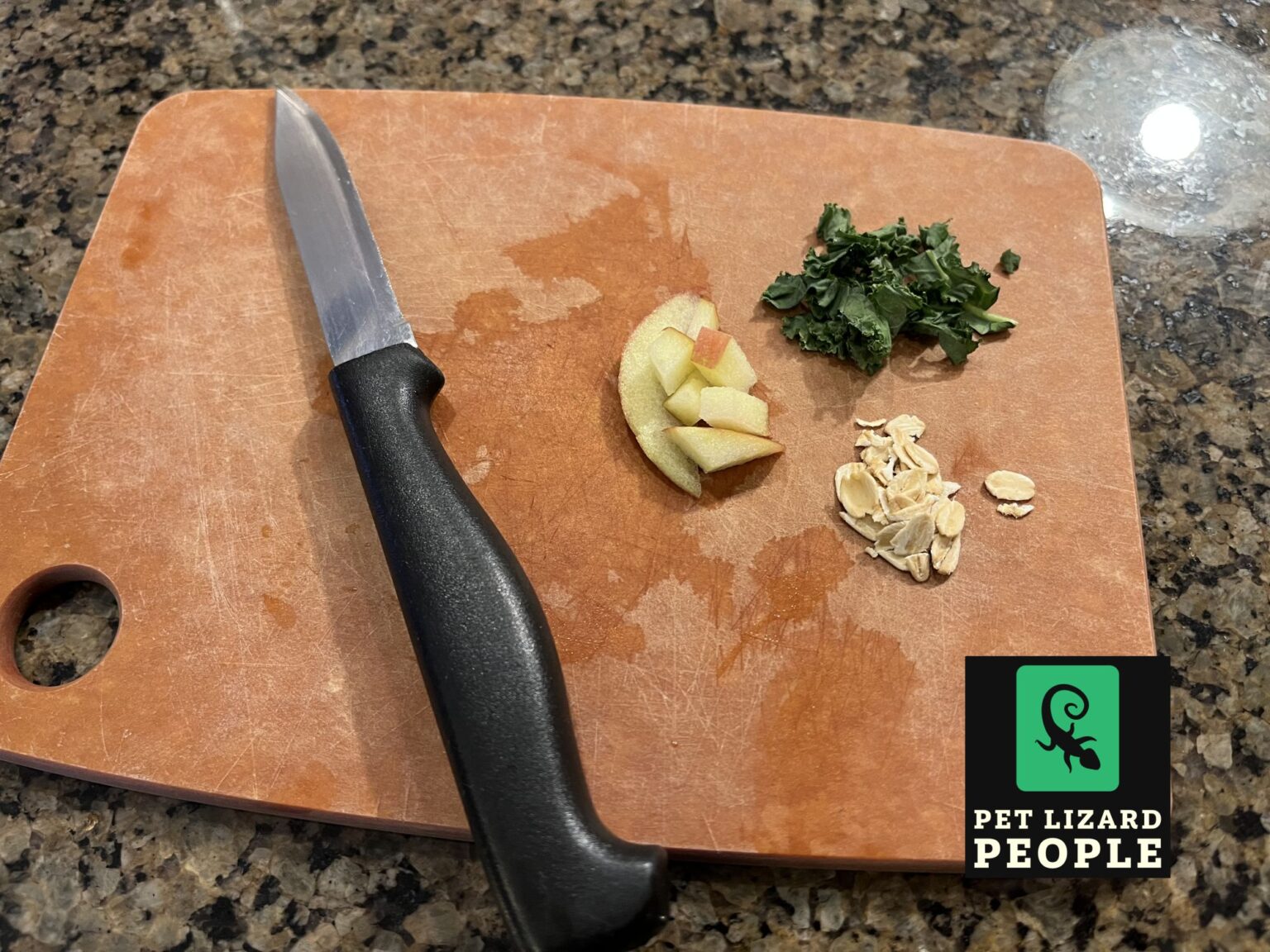 Can Crested Geckos Eat Crickets? A Complete Feeding Guide