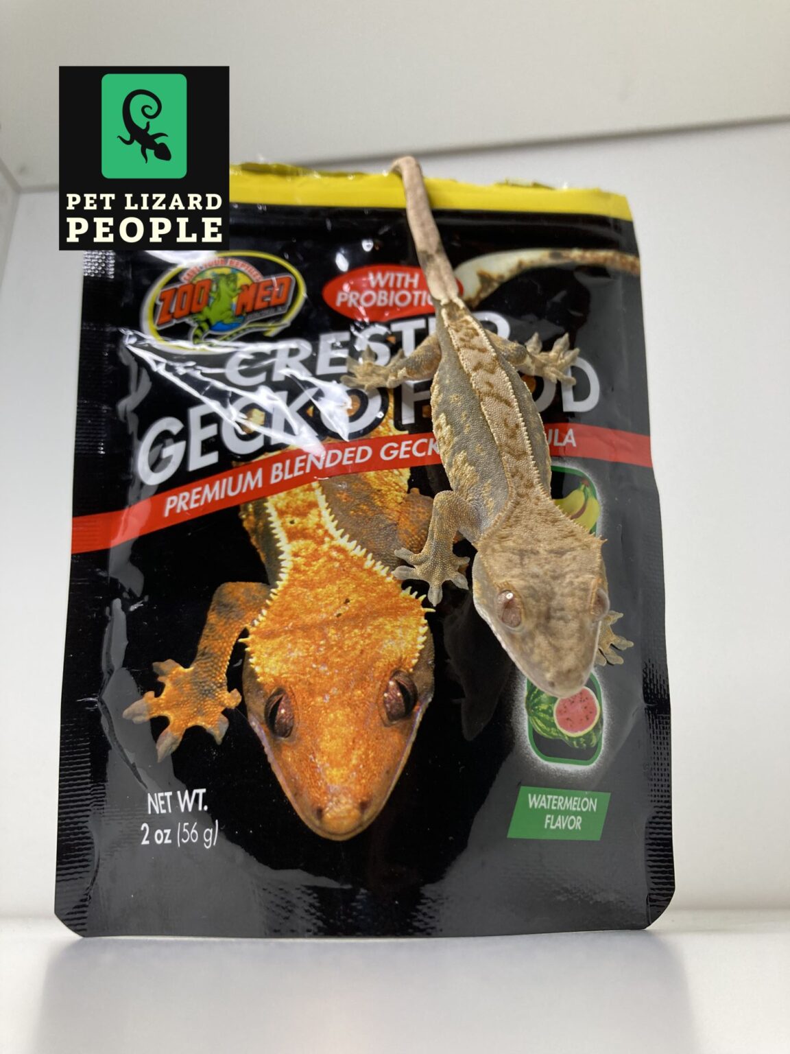 Guide to Crested Gecko Complete Diet - CGD - MRP
