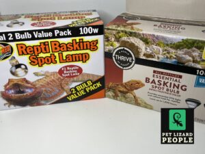 A Guide to Crested Gecko Lighting Requirements (UVB)